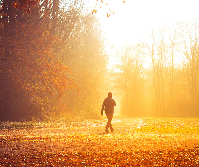 Improving Mood & Focus thru Nature - New Directions Counseling Blog